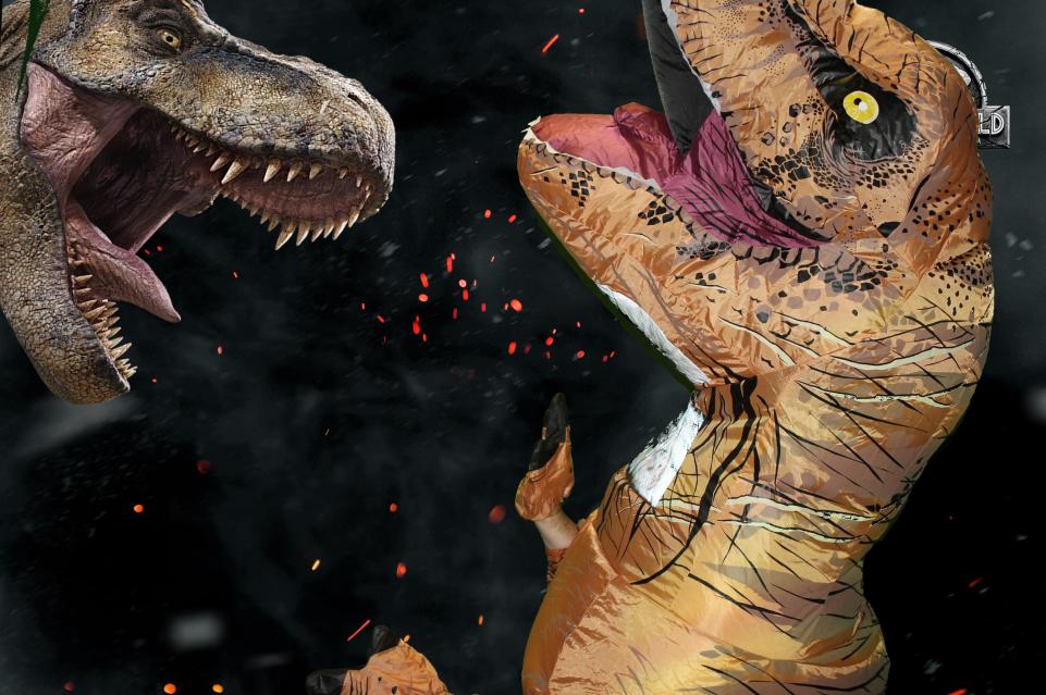 6 Photo Booth Party Animals That Will Make You Smile