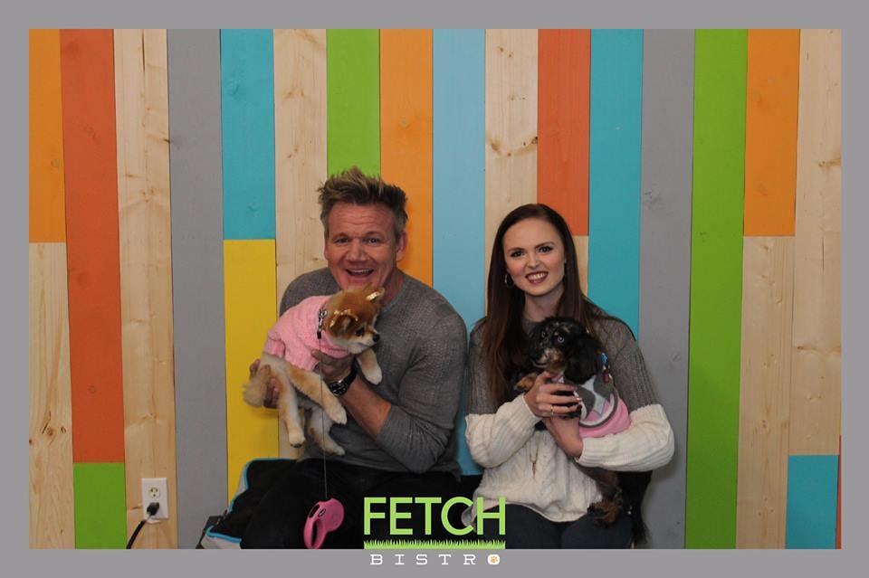 Celebrity Chef Gordon Ramsay Loves TapSnap