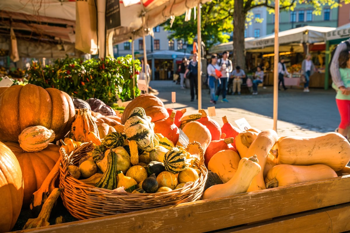 5 Ideas to make your Fall Festival A-maze-ing